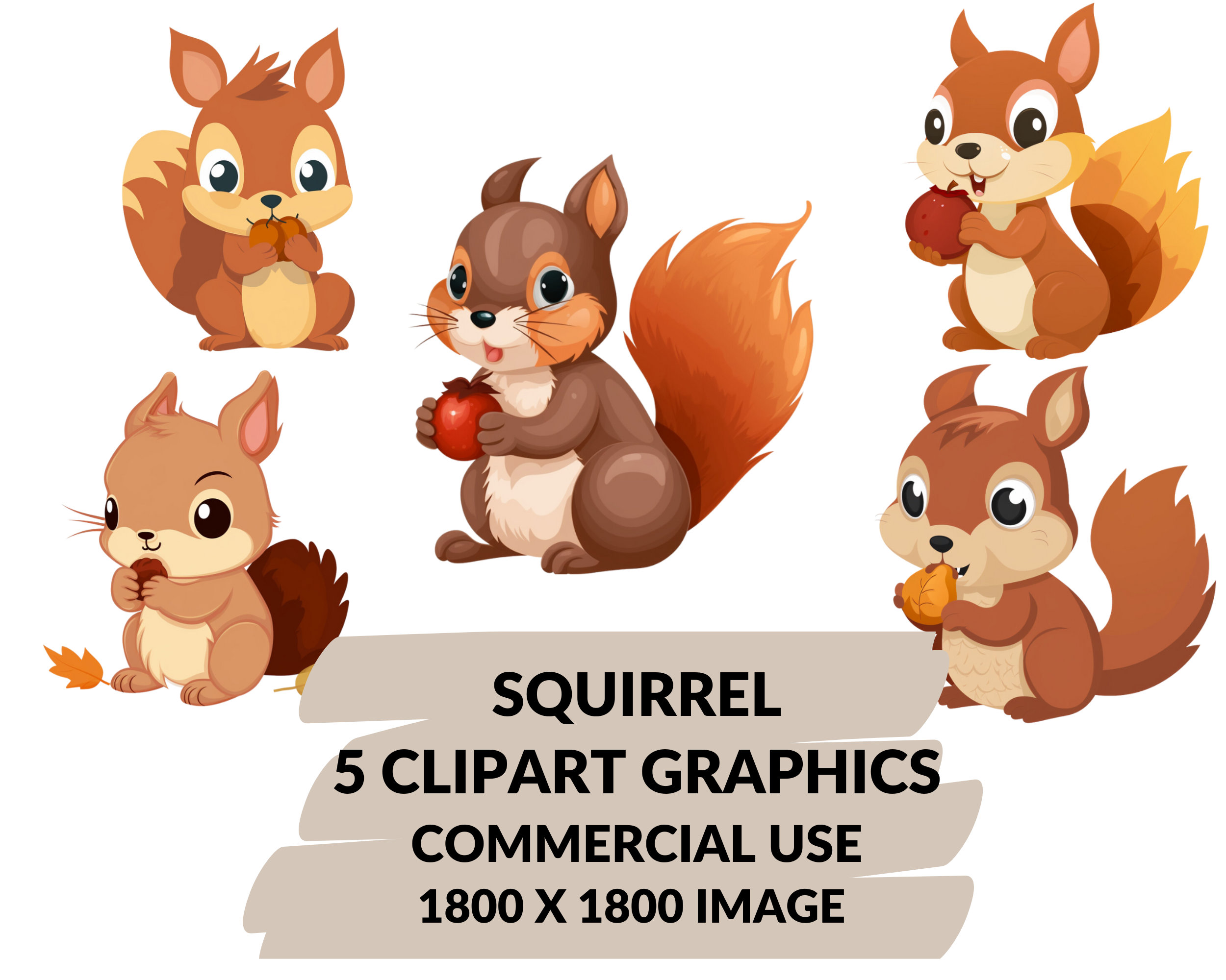 Squirrel Acorn Clip Art