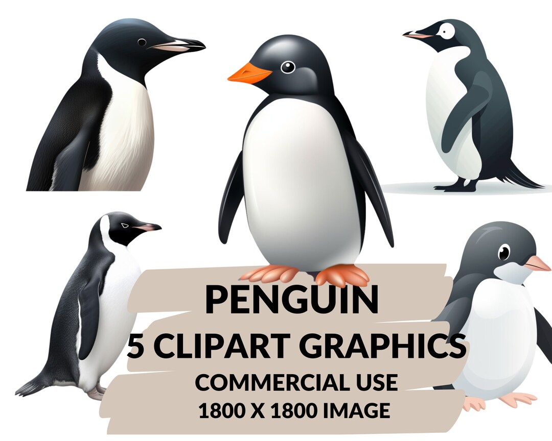 Penguin Clipart Penguin PNG Files Instant Download Commercial Use ...