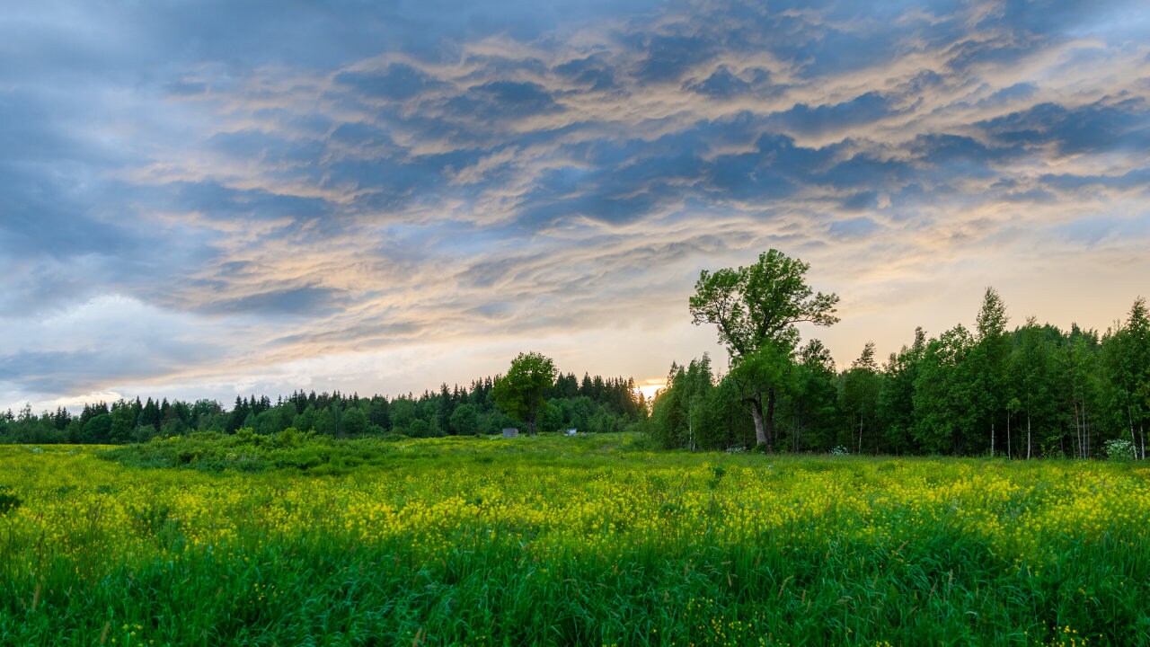 Zoom Background Zoom Background Office Zoom Background Home Office Zoom ...