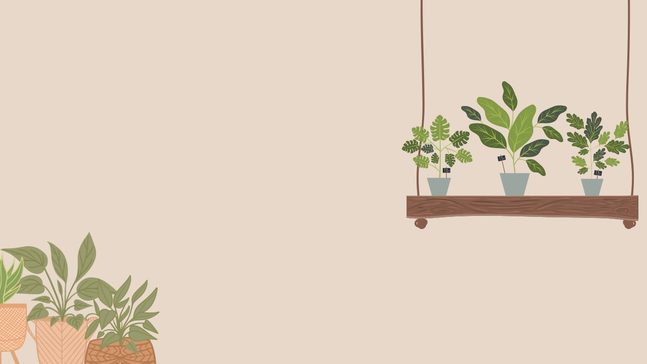 Zoom Background Zoom Background Office Zoom Background Home Office Zoom ...