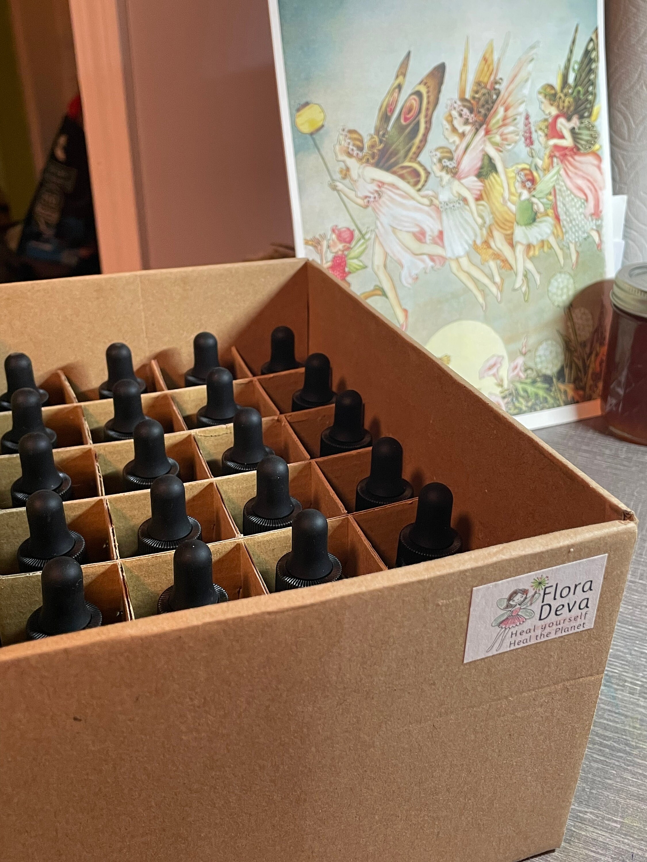 Bottlebrush Flower Essence - Etsy