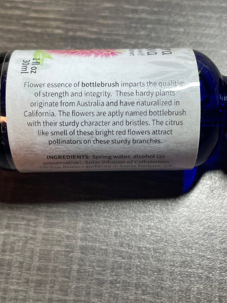 Bottlebrush Flower Essence - Etsy