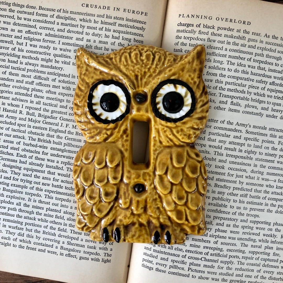 1970s Ceramic Owl Light Switch Plate Cover, Vintage Yellow Owl Light ...