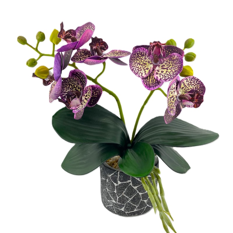 Miniature Purple Orchid - Etsy UK