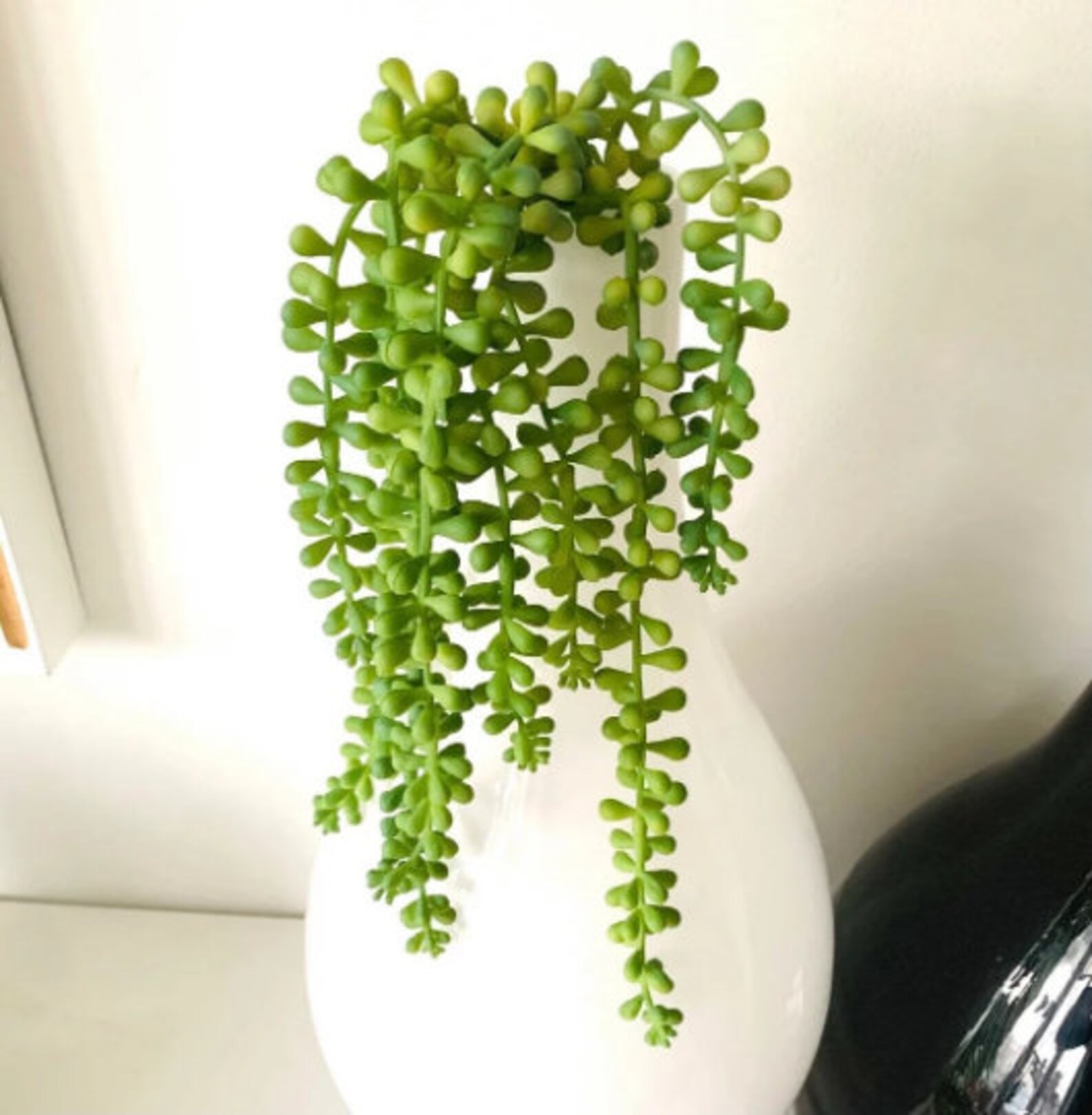 Artificial String-of-pearls Succulent Natural Green 40cm - Etsy