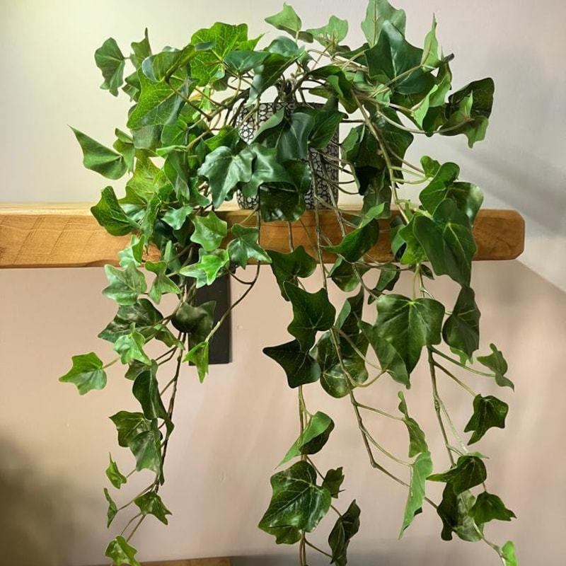 Artificial Ivy Trailing - Etsy UK