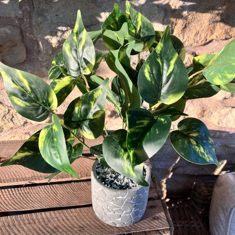 Philodendron Faux Plants - Etsy UK