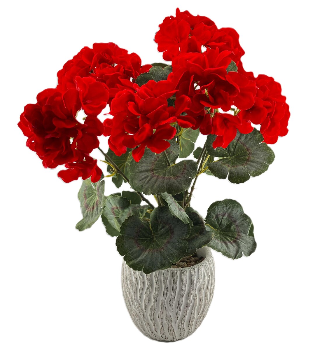 Geranium Bunch (with or Without Pot) - Etsy