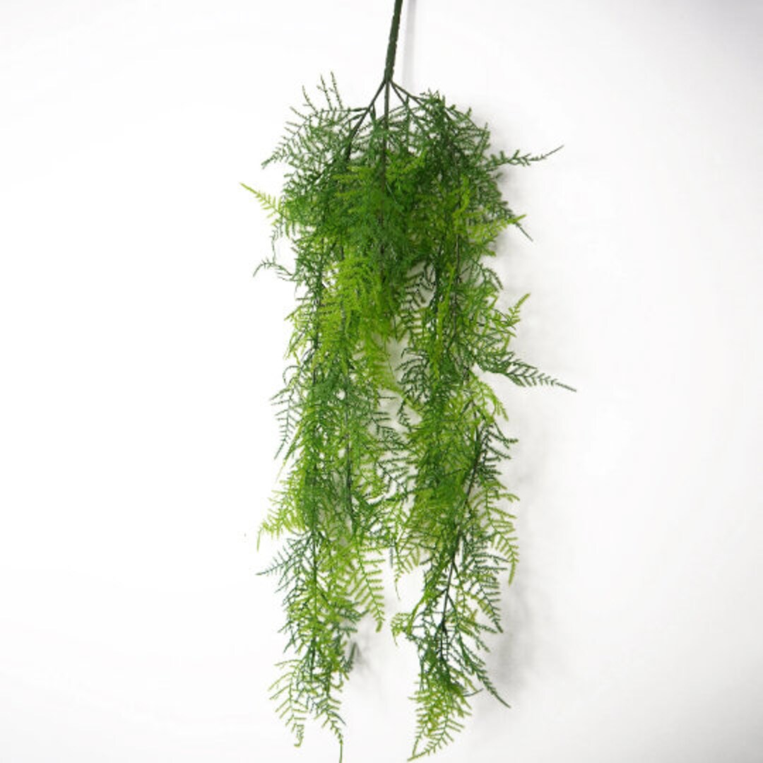 Artificial Trailing Asparagus Fern Plumosus Bush, 80cm - Etsy UK