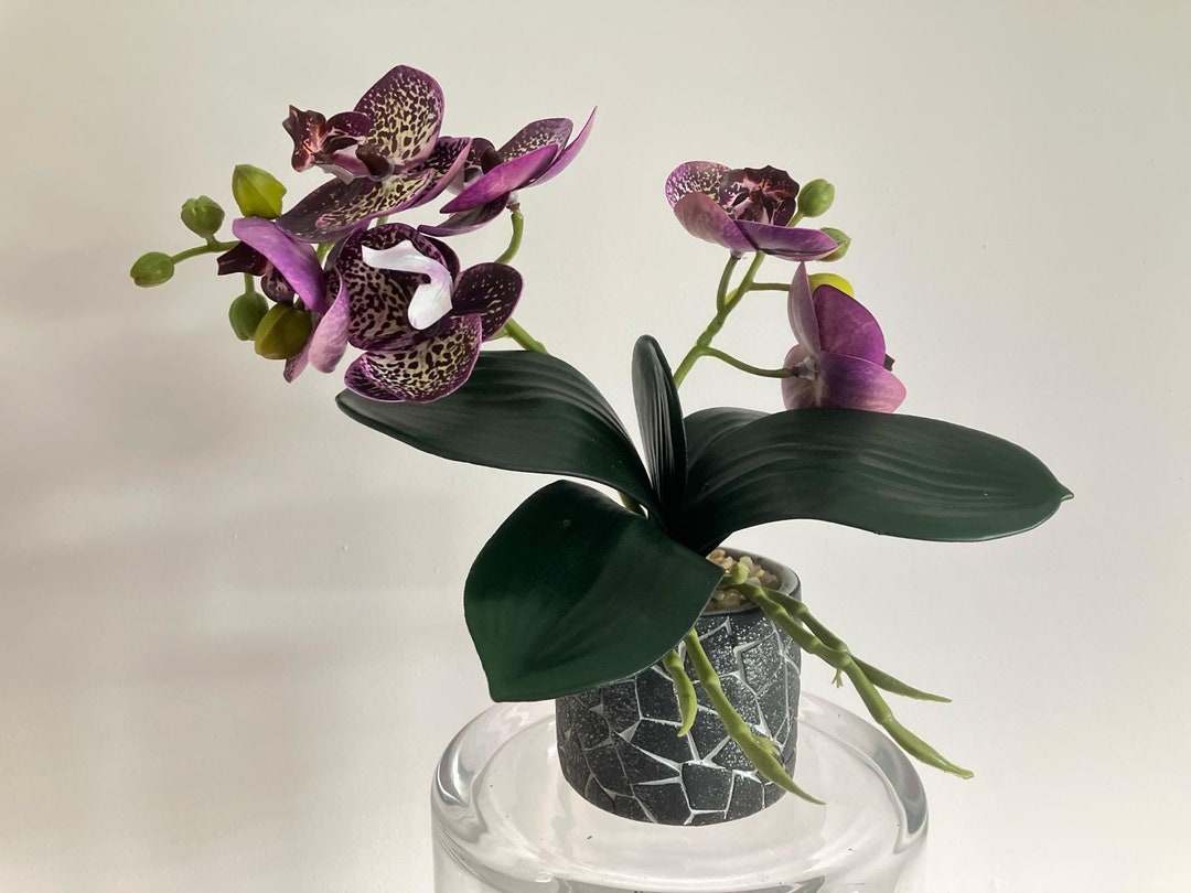 2 Stem Mini Phal Orchid Arrangement Purple Speckled - Etsy