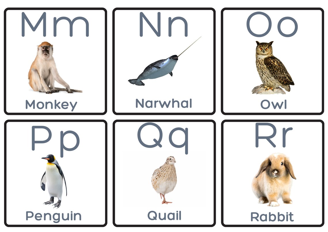 26 Printable Alphabet Animal Flashcards, Real Pictures ABC Picture ...