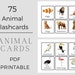 75 Realistic Animal Flashcards for Toddlers, Printable PDF, Perfect for ...