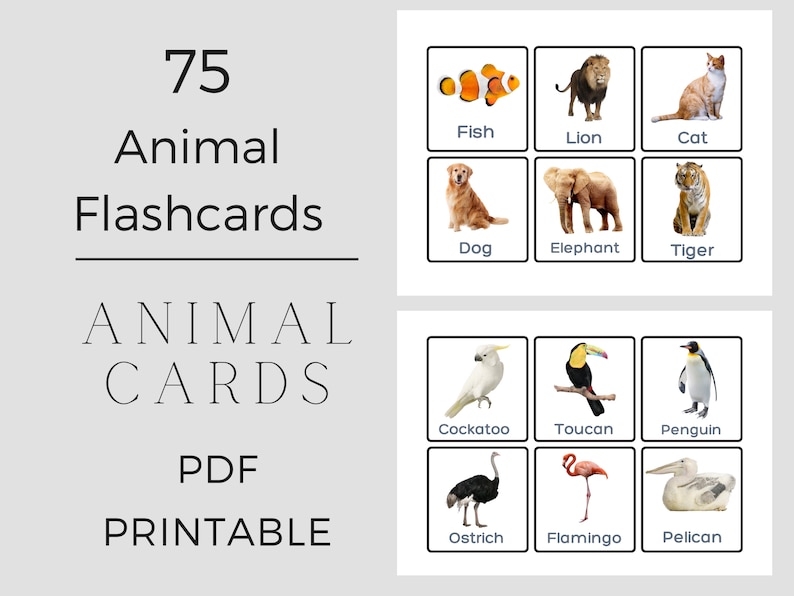 75 Realistic Animal Flashcards for Toddlers, Printable PDF, Perfect for ...