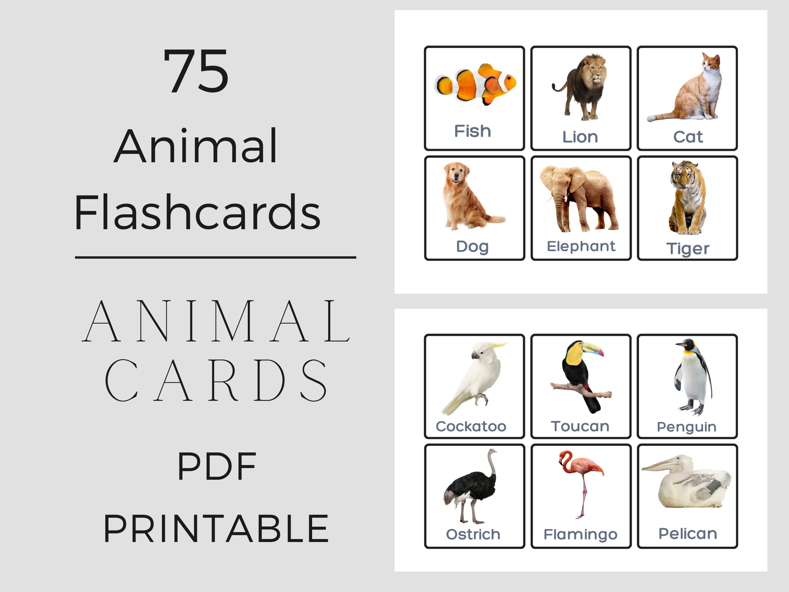 75 Realistic Animal Flashcards for Toddlers, Printable PDF, Perfect for ...