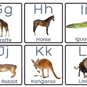 26 Printable Alphabet Animal Flashcards, Real Pictures ABC Picture ...