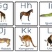 26 Printable Alphabet Animal Flashcards, Real Pictures ABC Picture ...