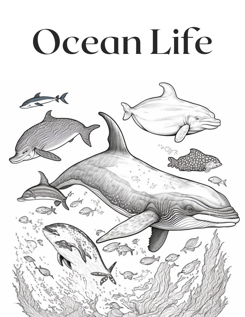 Explore the Wonders of the Ocean Life With 20 Detailed Colouring Pages ...