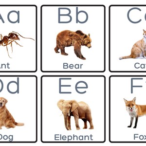 26 Printable Alphabet Animal Flashcards, Real Pictures ABC Picture ...