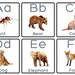 26 Printable Alphabet Animal Flashcards, Real Pictures ABC Picture ...