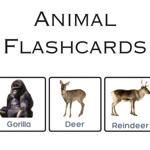 75 Realistic Animal Flashcards for Toddlers, Printable PDF, Perfect for ...