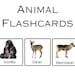 75 Realistic Animal Flashcards for Toddlers, Printable PDF, Perfect for ...