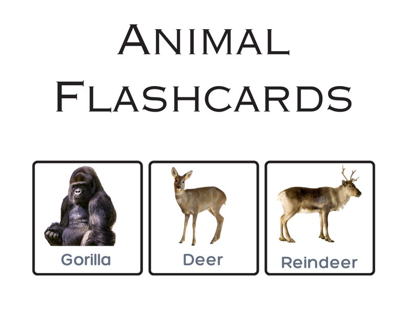 75 Realistic Animal Flashcards for Toddlers, Printable PDF, Perfect for ...