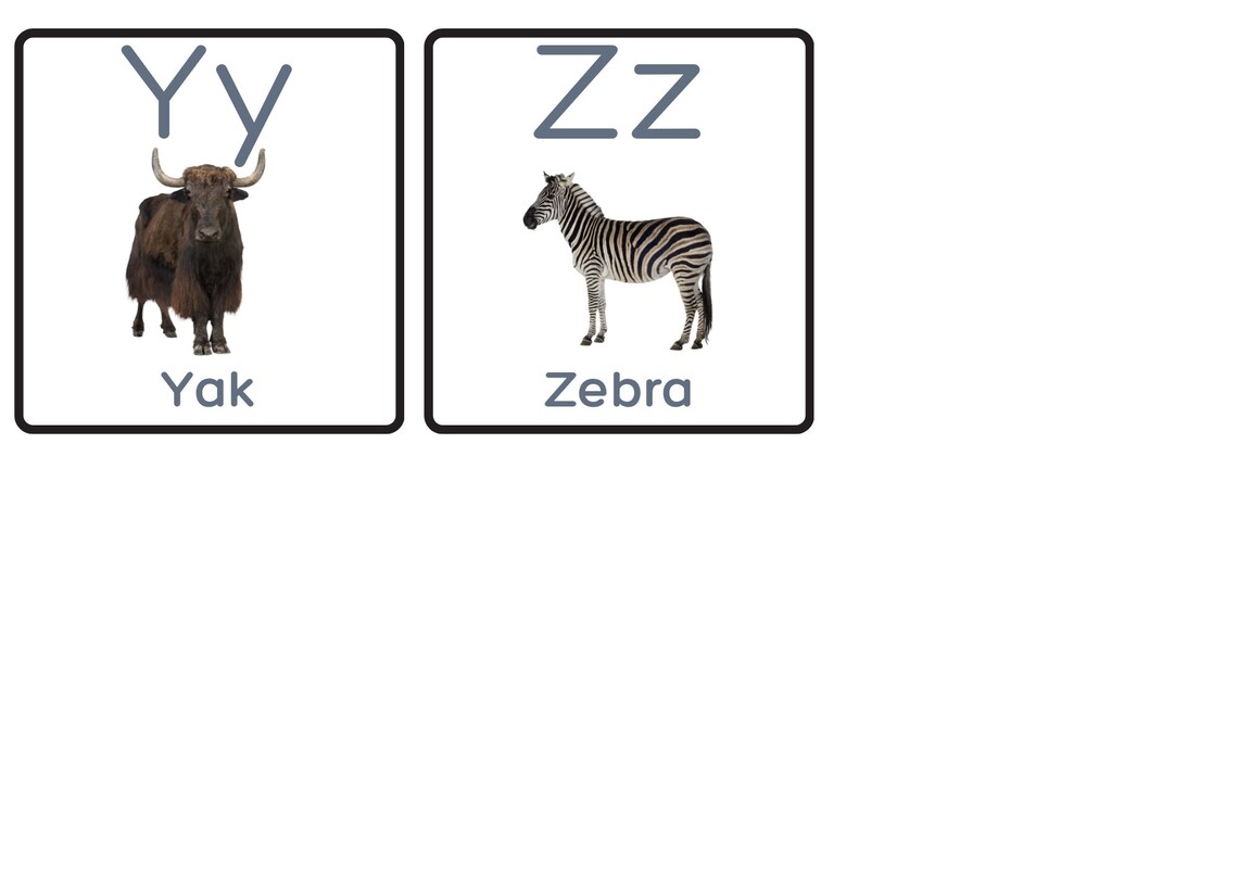 26 Printable Alphabet Animal Flashcards, Real Pictures ABC Picture ...