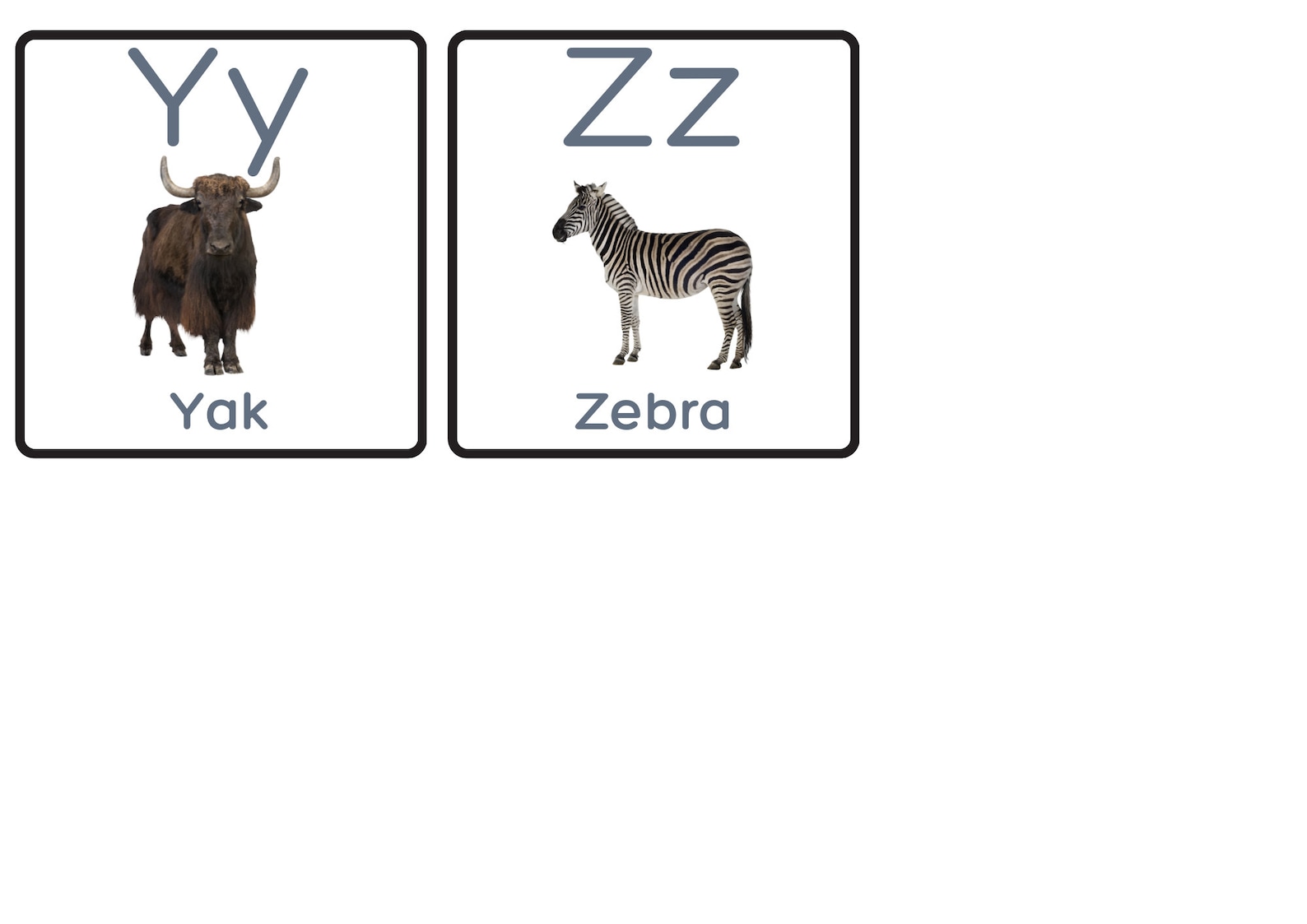 26 Printable Alphabet Animal Flashcards, Real Pictures ABC Picture ...