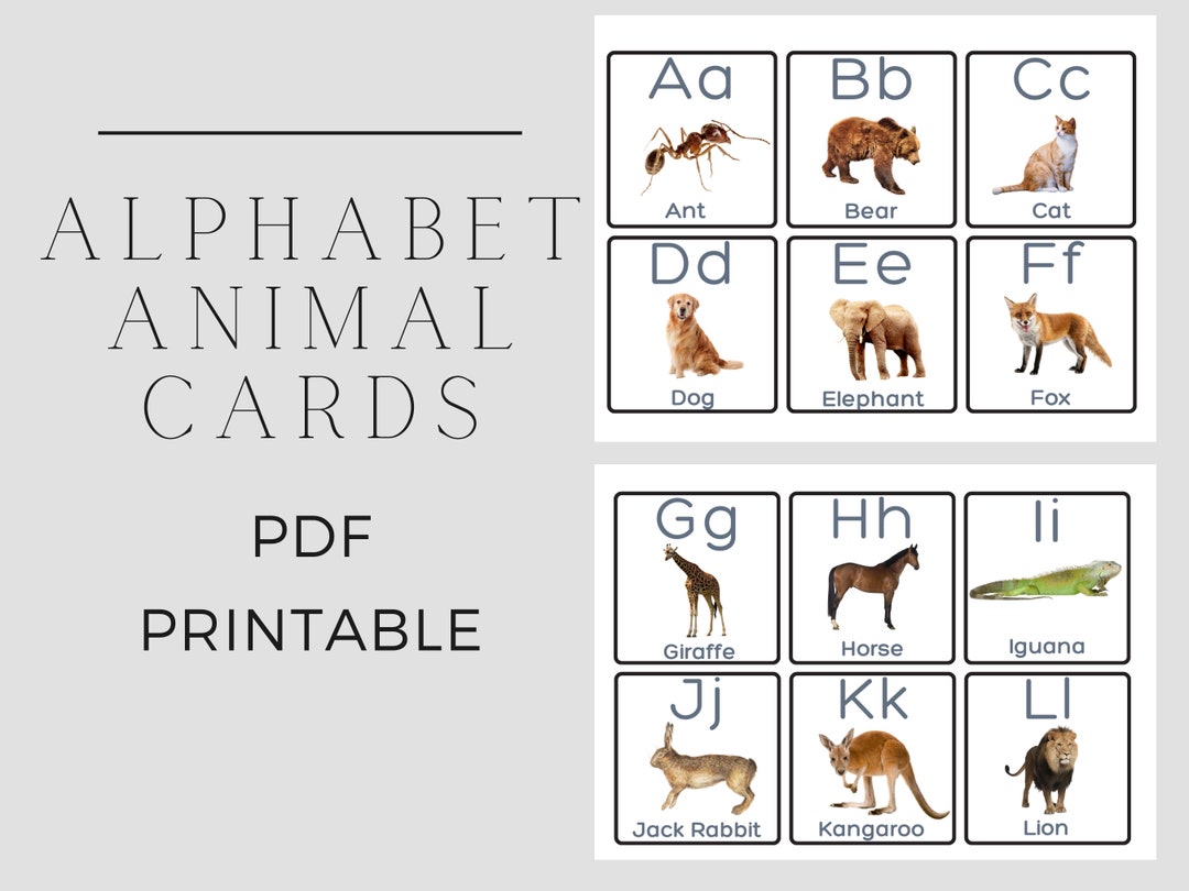 26 Printable Alphabet Animal Flashcards, Real Pictures ABC Picture ...