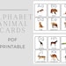 26 Printable Alphabet Animal Flashcards Real Pictures ABC - Etsy