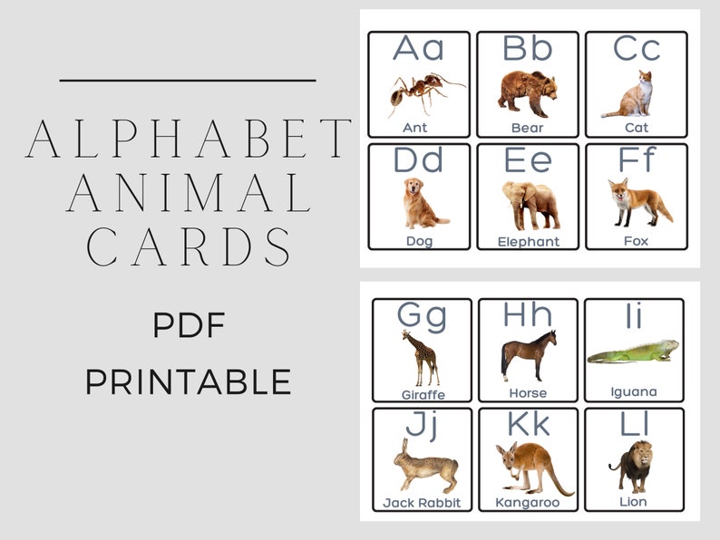 26 Printable Alphabet Animal Flashcards, Real Pictures ABC Picture ...