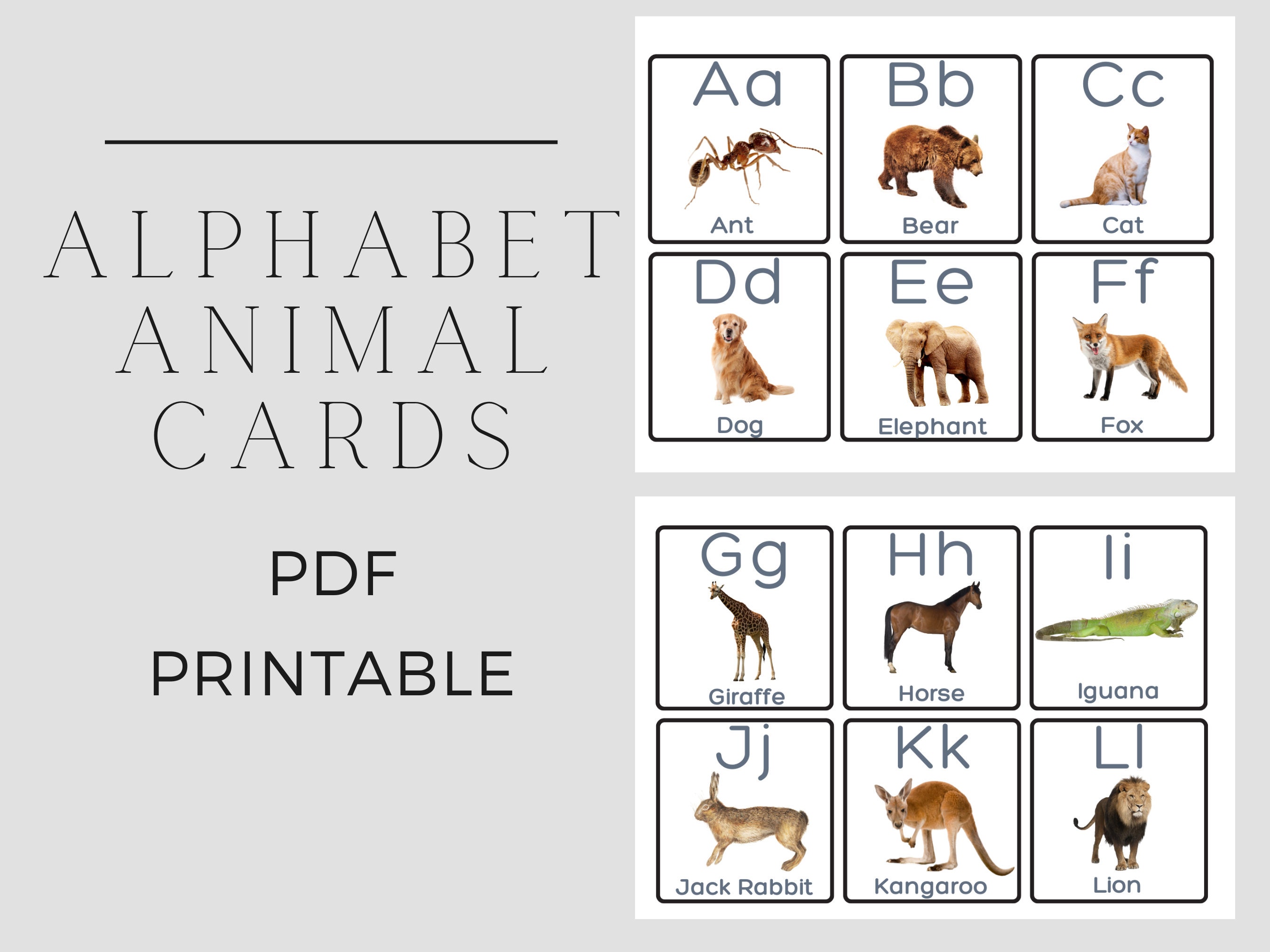 26 Printable Alphabet Animal Flashcards, Real Pictures ABC Picture ...