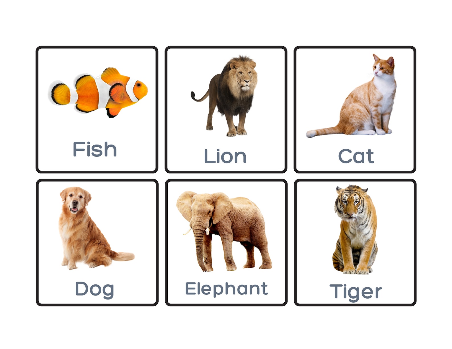 75 Realistic Animal Flashcards for Toddlers, Printable PDF, Perfect for ...