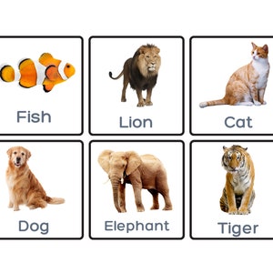 75 Realistic Animal Flashcards for Toddlers, Printable PDF, Perfect for ...