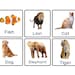 75 Realistic Animal Flashcards for Toddlers, Printable PDF, Perfect for ...