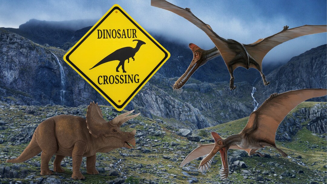 Dinosaur Crossing Sign- Funny- 3d Printed-dino Crossing - Etsy