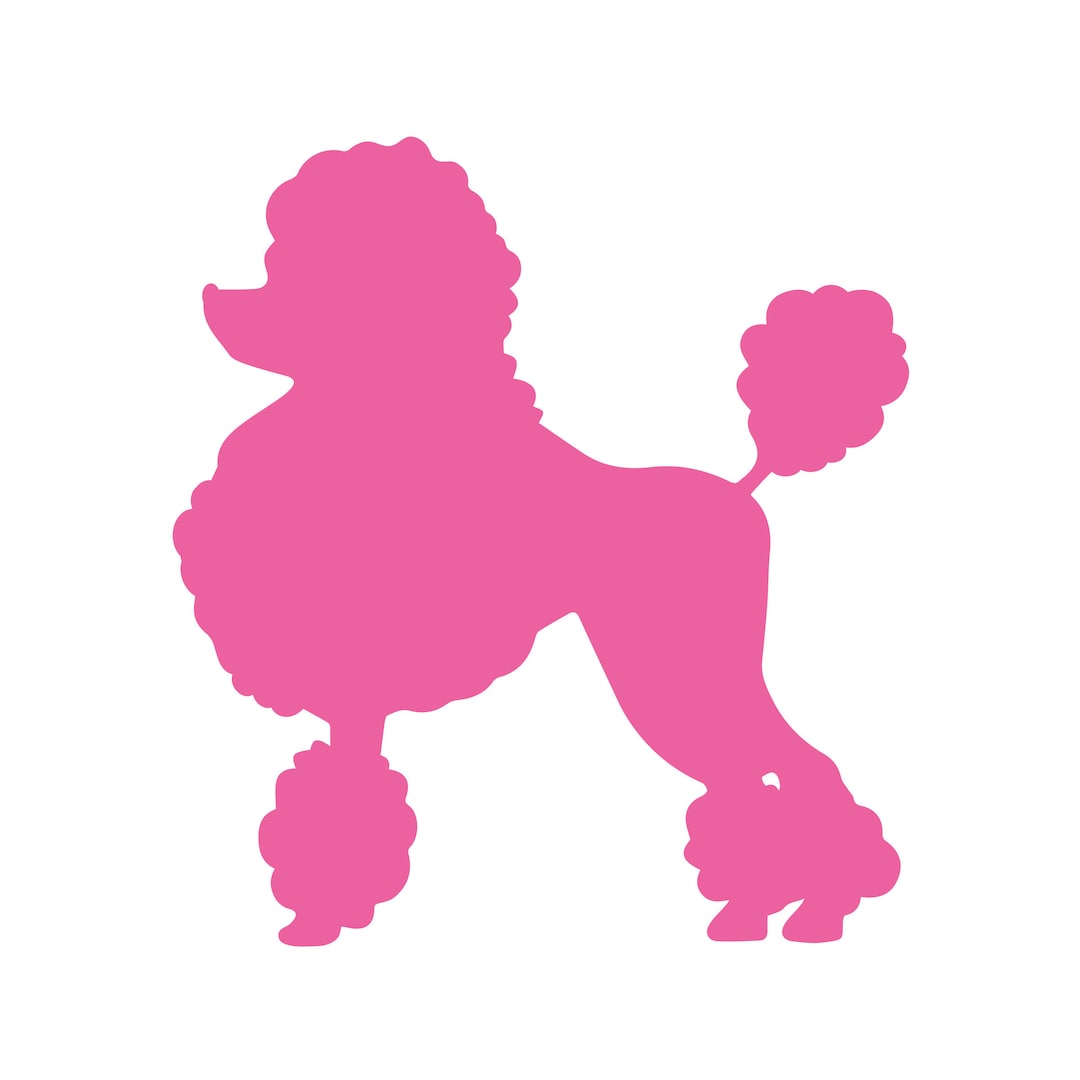 Poodle Design Digital Download SVG & PNG File - Etsy