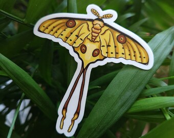 Hummingbird Moth Sticker / Waterproof Vinyl Sticker Water - Etsy