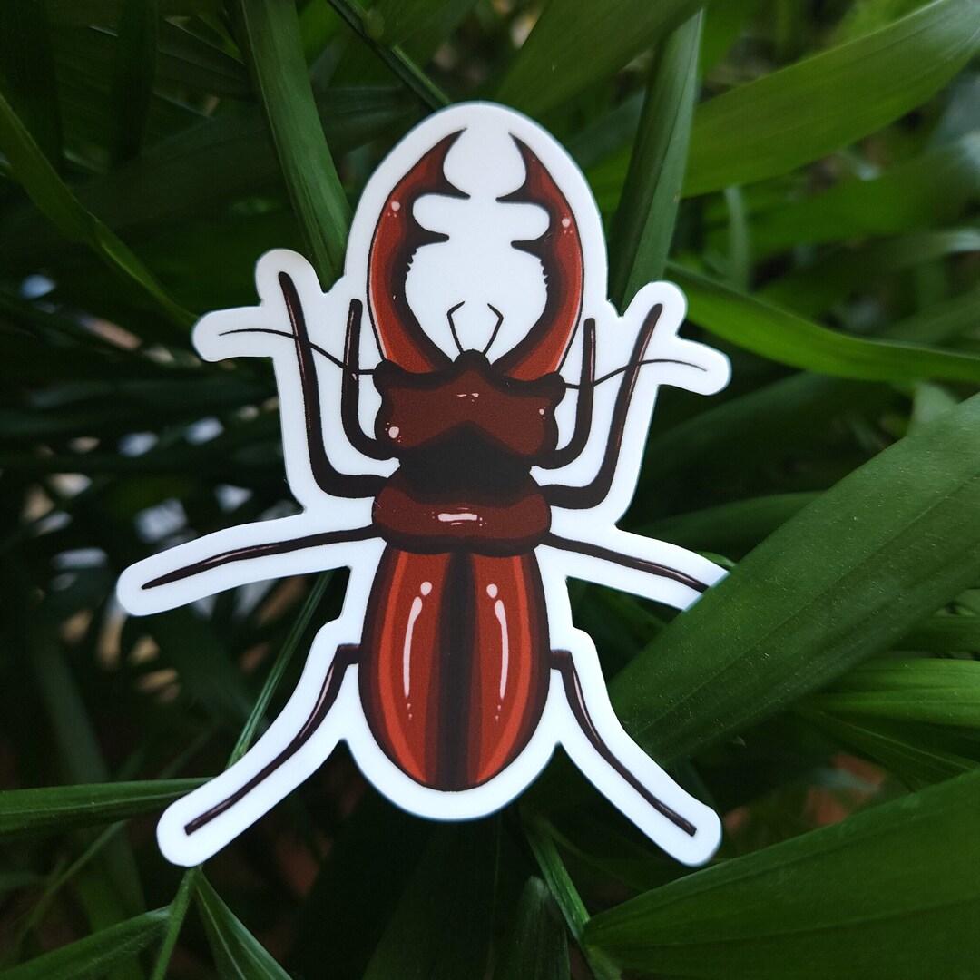 Stag Beetle Vinyl Sticker - Etsy
