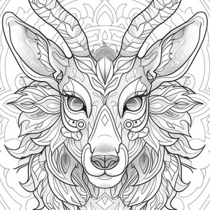 25 Printable Drawings of Relaxing Patterns to Color and Create, Stress ...