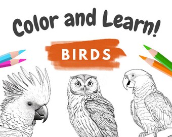 Coloring Book for Kids With Positive Quotes. - Etsy