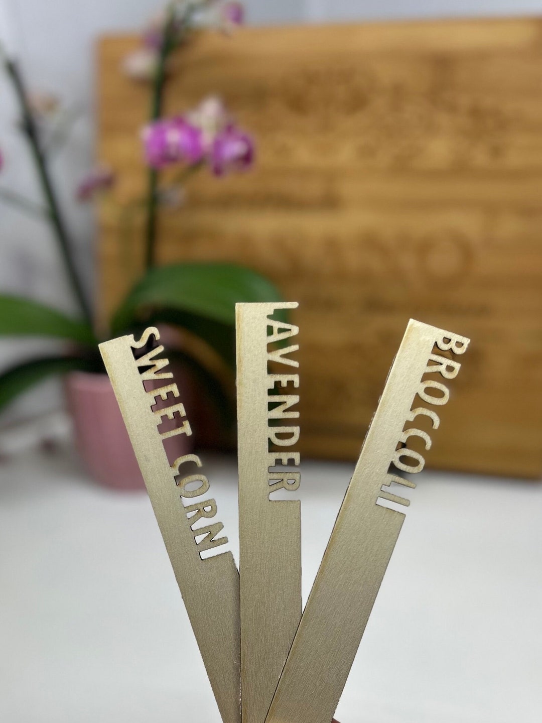 Biodegradable Plant Markers - Etsy