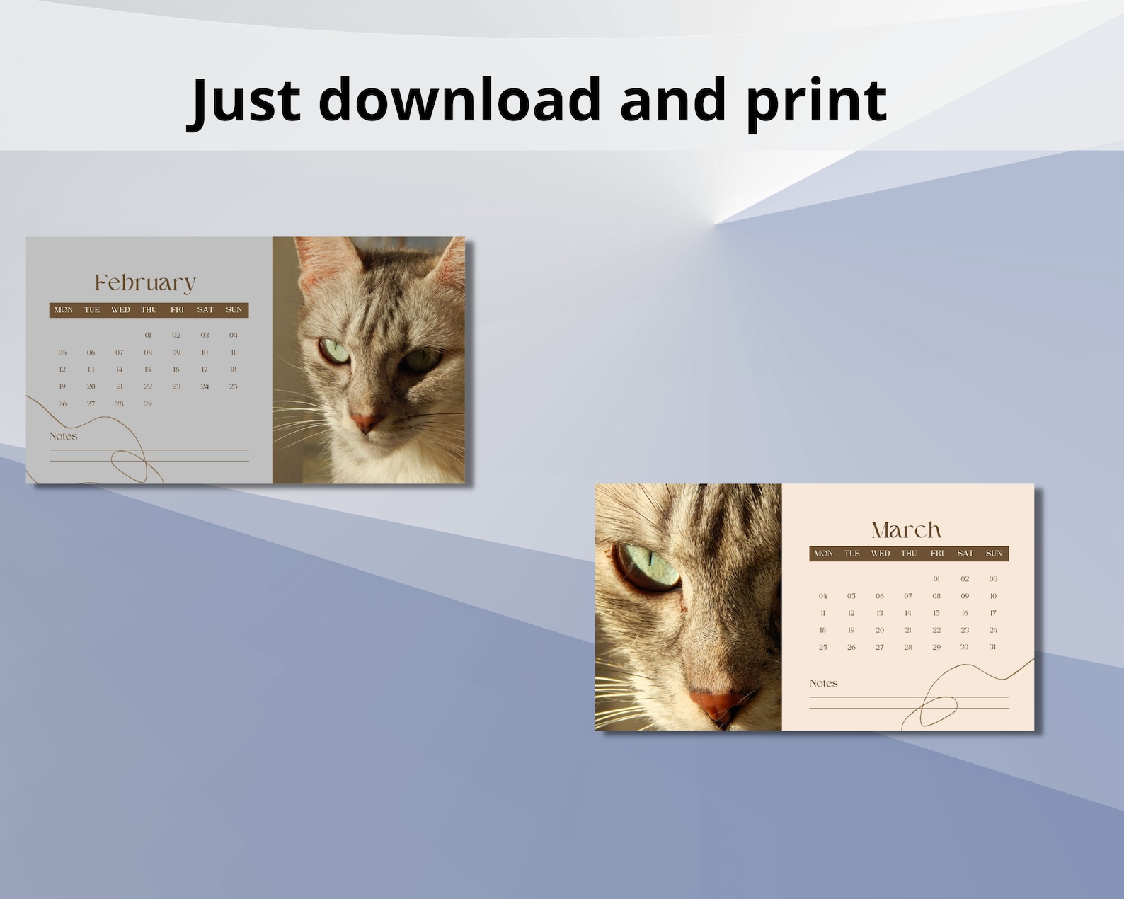 Calendar 2024, Printable Cat Themed Calendar, Beautiful Calendar 2024 ...