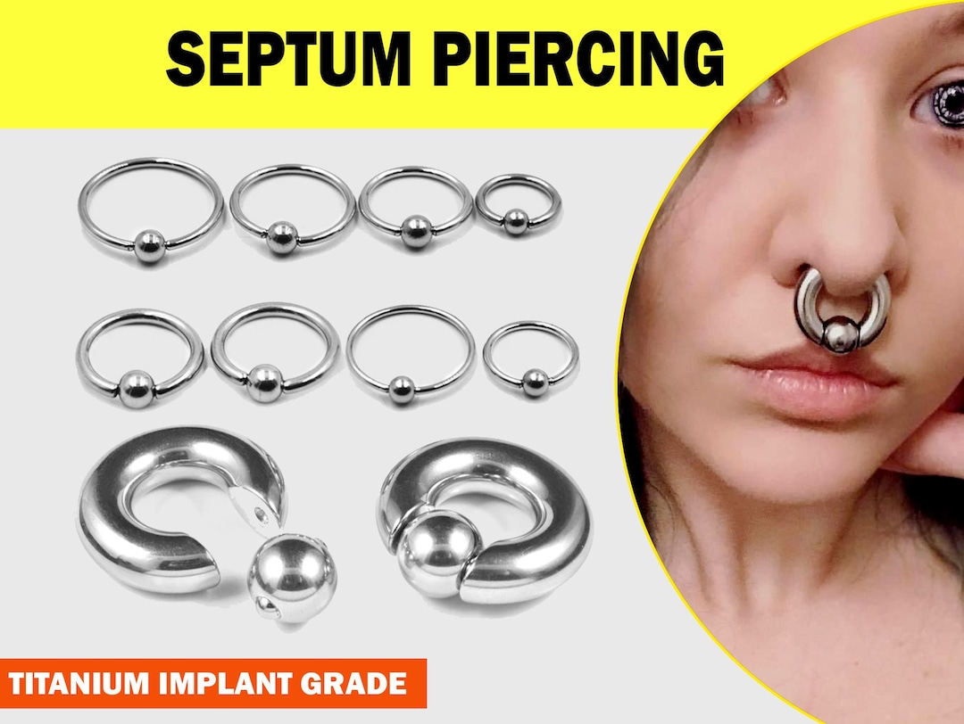 Septum Ring, Nose Ring, Prince Albert Ring Titanium Ball Closure Ring ...