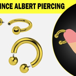 Gold Prince Albert Piercing, PA Ring Circular Barbell, Horseshoe ...