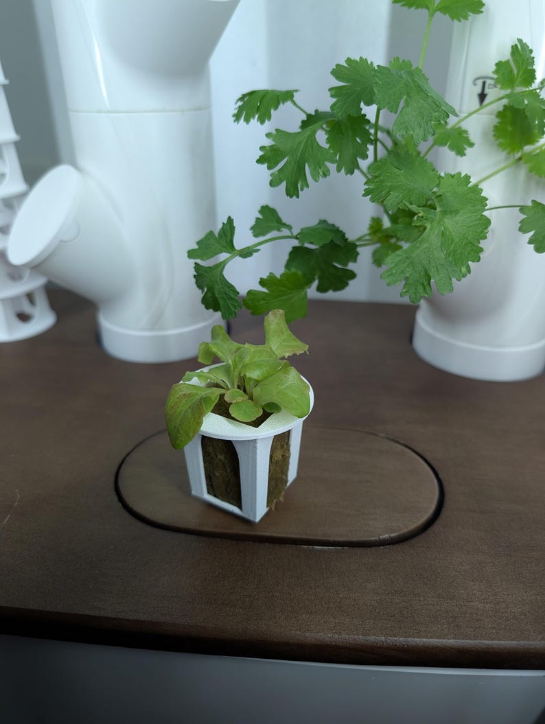 Grow Cubes - the Best Ycube Replacements - Compatible With Gardyn - Etsy