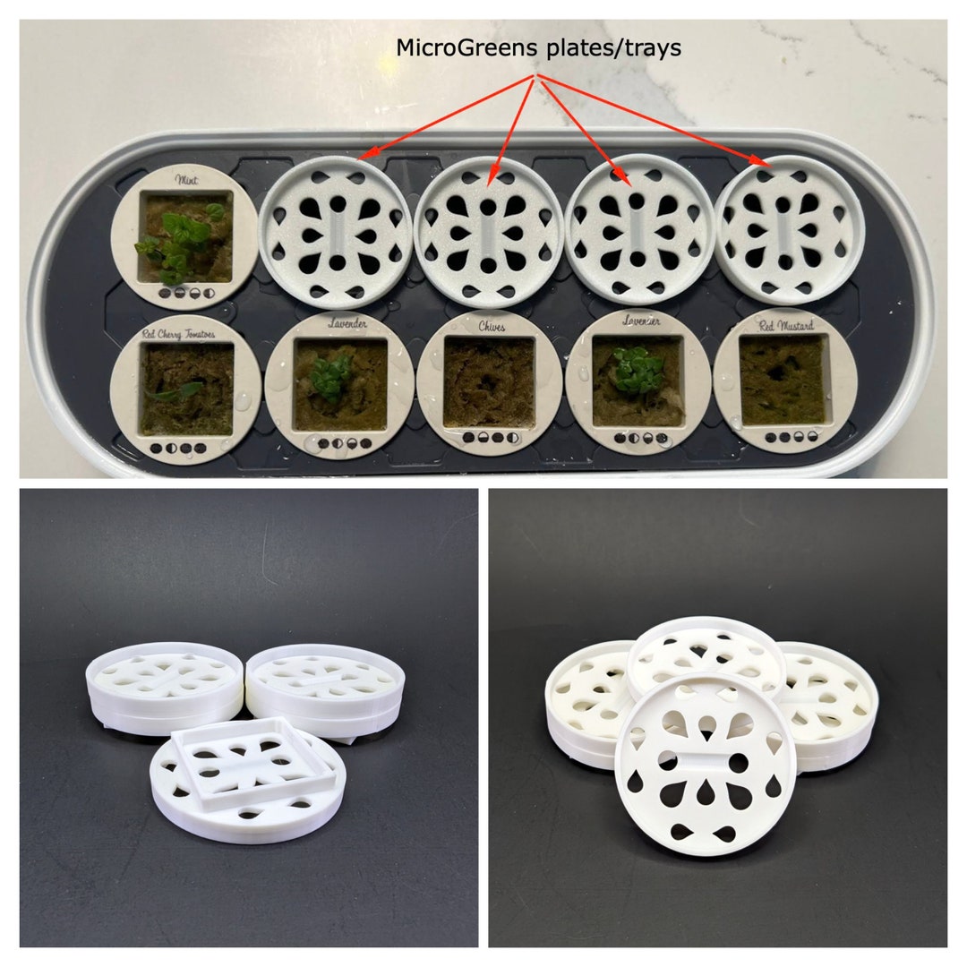 Set of 10 Microgreen Grow Plates / 3d-printed Microgreen Grow Plates ...