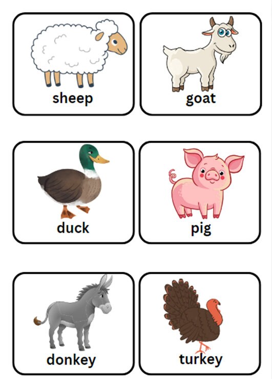 12 Farm Animal Flashcards - Digital Download - Classroom Resources ...