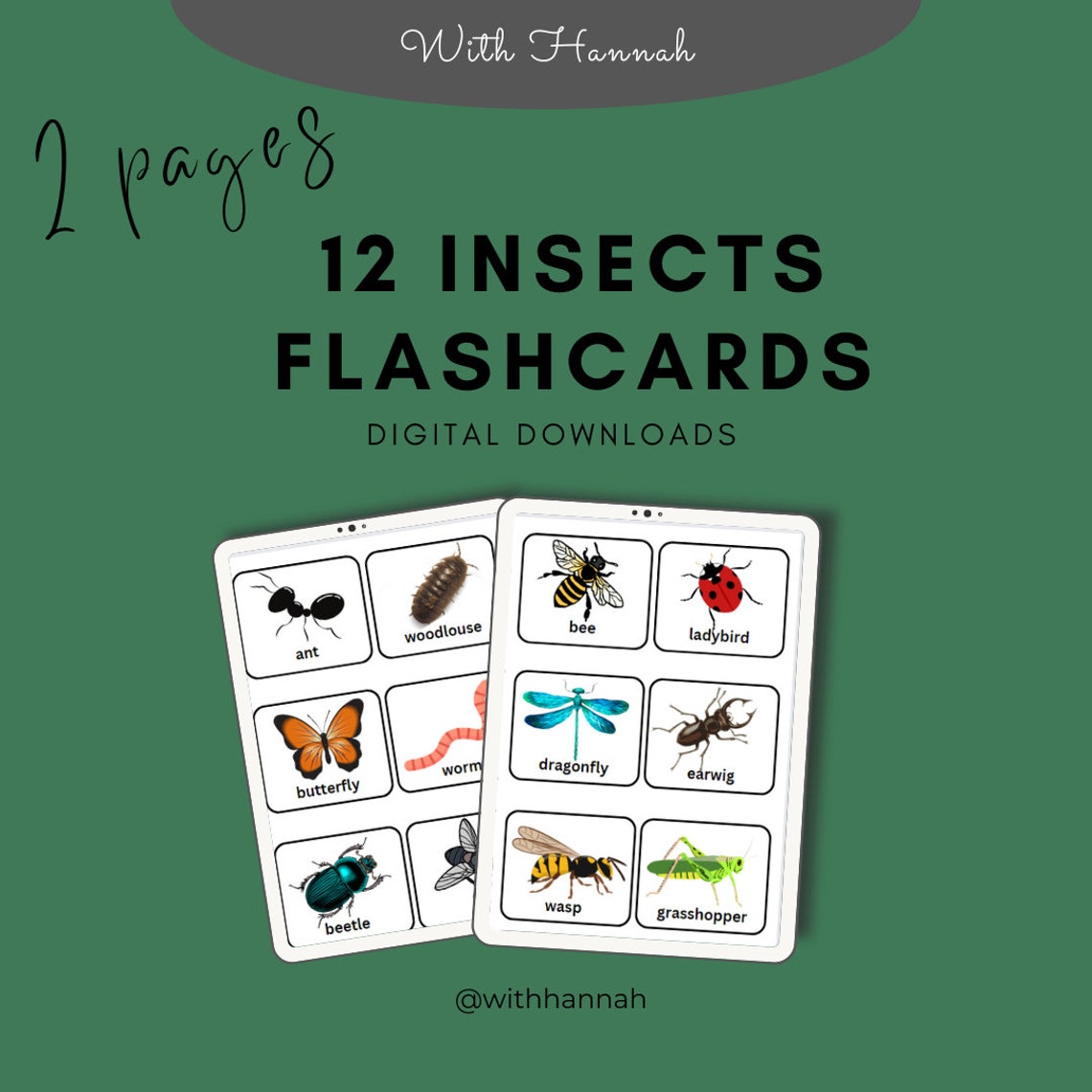 12 Insect Flashcards - Digital Download - EYFS Display and Flashcards ...