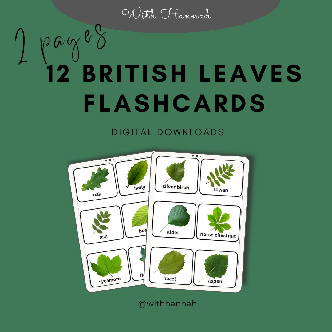 12 British Leaves Flashcards - Digital Download - EYFS Display ...